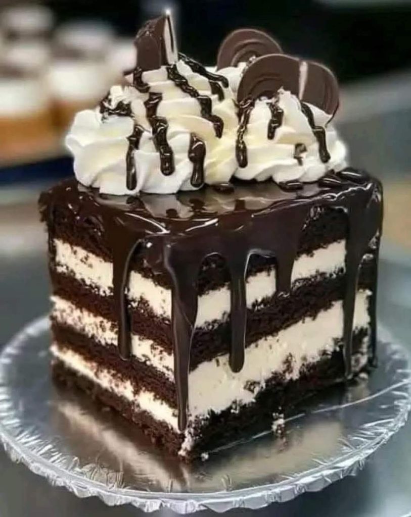 Chocolate Fudge Layered Cake – Cook For You